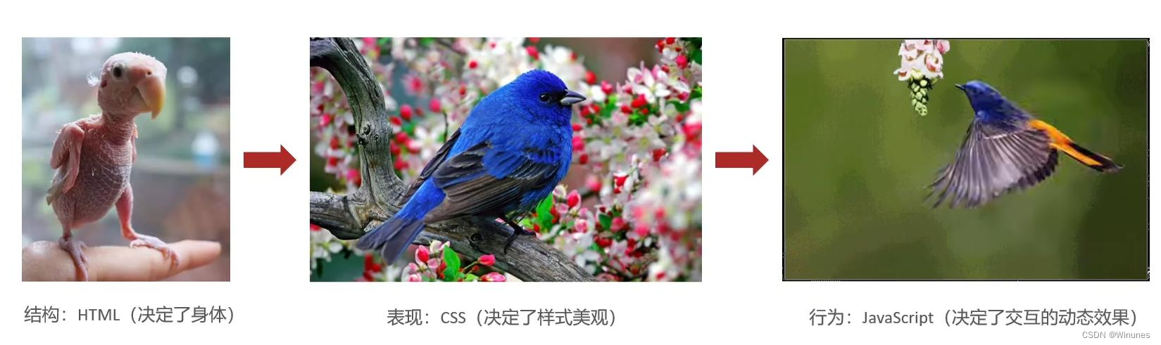 前端（html5 Css3）（学习笔记）html我同意相关协议 Csdn博客 1827