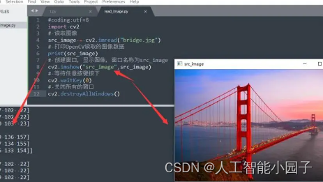 opencv如何读取和显示图像？流程演示_可以在顶级窗口用opencv打开图片吗-CSDN博客