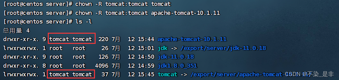centos安装部署Tomcat（10.1）手把手教程_tomcat10.1-CSDN博客