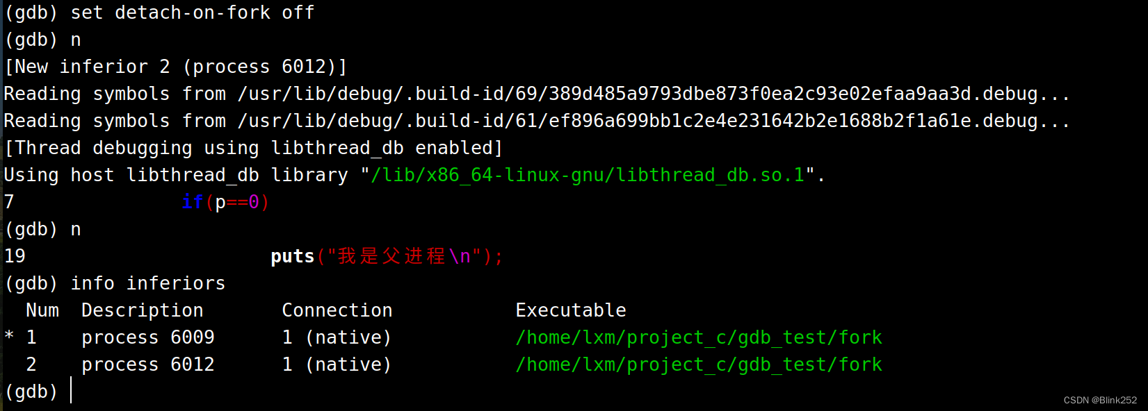 gdb调试多进程程序的几个命令及调试示例_gdb多进程调试-CSDN博客