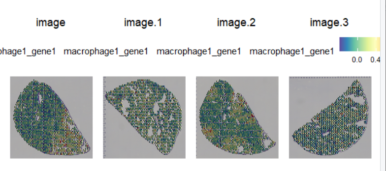 addmodule seurat_spatialdimplot-CSDN博客