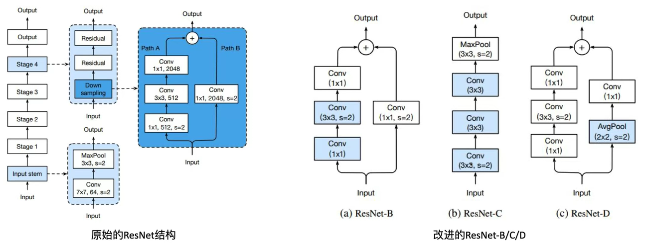 ResNet变种（ResNet-B/C/D、Res2Net、ResNeXt、ResNeSt）_resnet-d-CSDN博客
