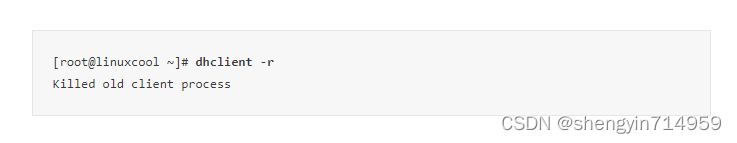 dhclient命令详解-CSDN博客