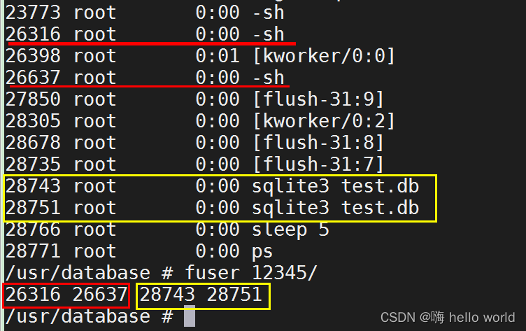 linux系统查看文件被那些进程占用&&快速杀死对应的进程_fuser查看文件占用-CSDN博客