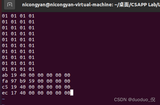 CSAPP Lab3：Attack Lab-CSDN博客
