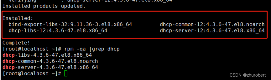 redhat8 dhcp服务器搭建_rhel8 dhcp 服务器-CSDN博客
