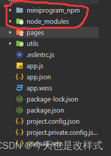 微信小程序安装Vant-weapp报错_vant 微信小程序下不下来-CSDN博客