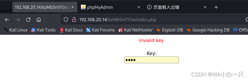 01_渗透靶场NullByte：namp使用，多姿势SQL注入，提权-CSDN博客