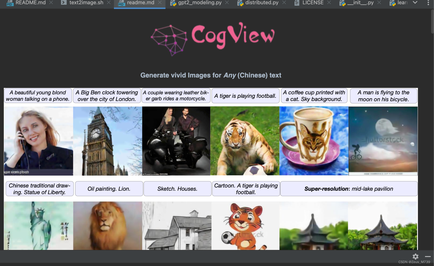 避坑：教程：怎么运行CogView模型（text2image）_cogview2-CSDN博客