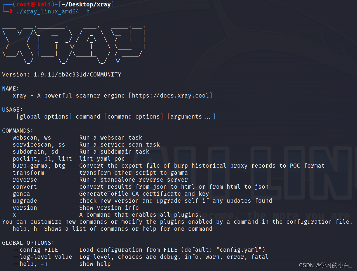 Xray——Windows及Linux安装_xray安装教程-CSDN博客