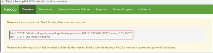 HDFS-故障排除_hdfs dfsadmin -report-CSDN博客