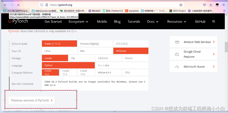 pytorch（GPU版本或者CPU版本）离线安装教程以及torch.cuda.is_available（）false报错问题_pytorch gpu false-CSDN博客