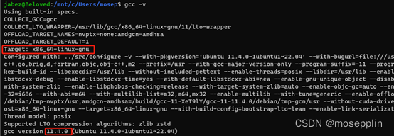 CLion配置WSL工具链-CSDN博客