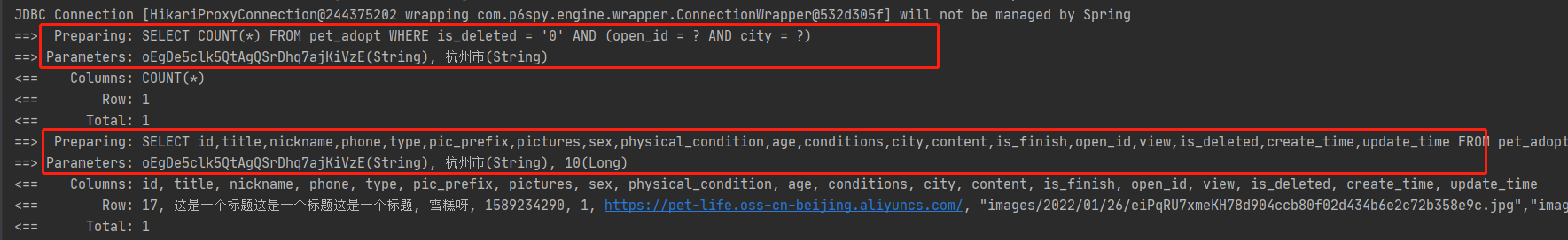 SpringBoot 快速集成 p6spy 监控 SQL 性能，Mybaties-plus_spy.properties作用-CSDN博客