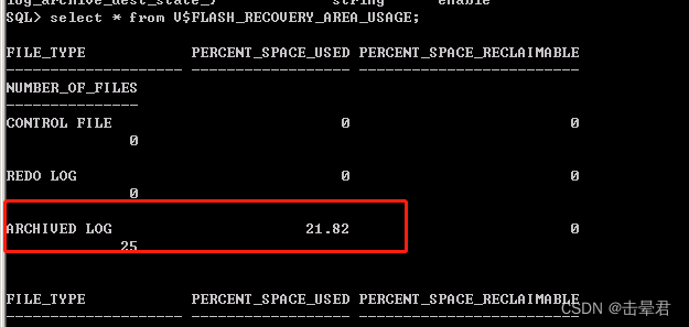 oracle ORA-00257异常处理及定时清理归档日志-CSDN博客