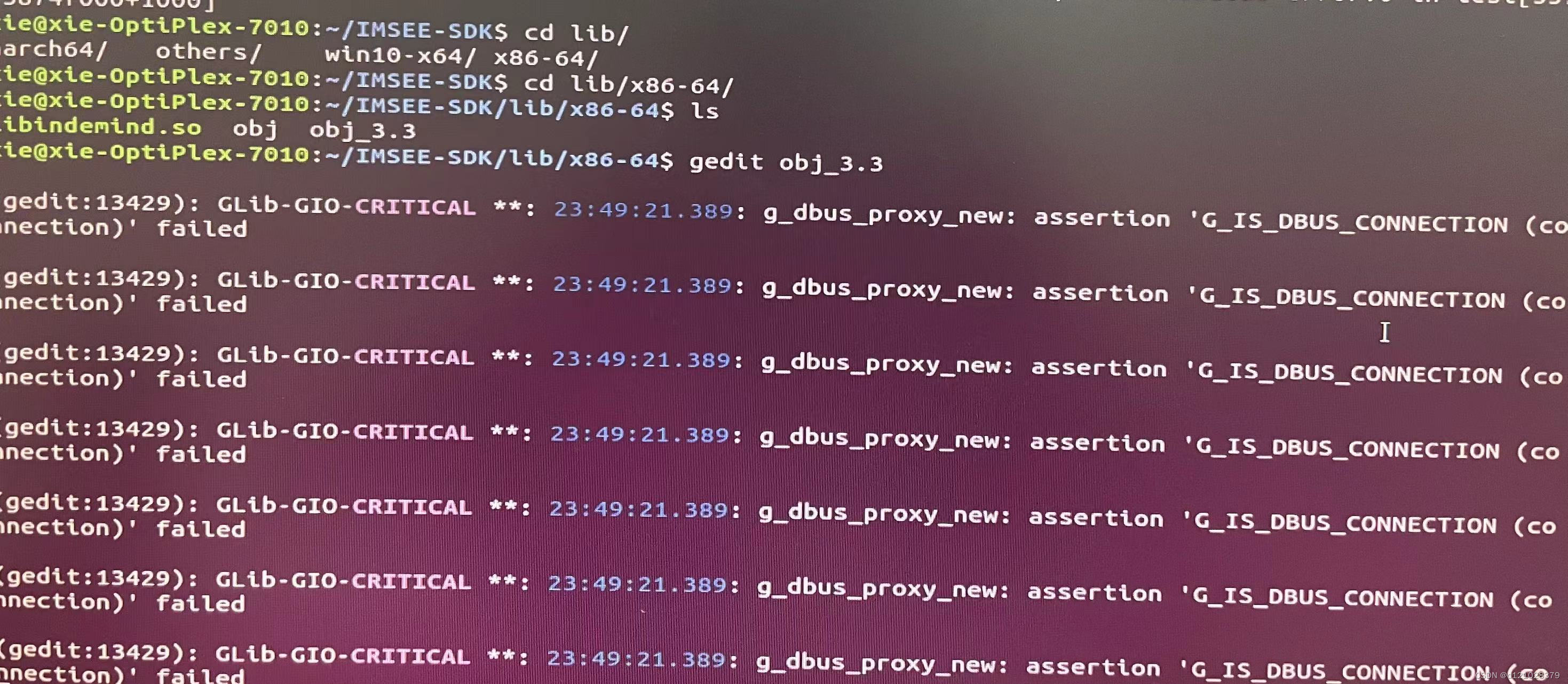 Linux运行程序报核心已转储_该文件不是有效的托管linux核心转储-CSDN博客