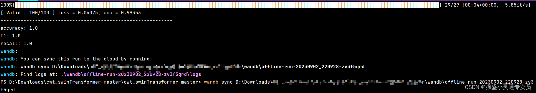 wandb离线用法_wandb离线模式-CSDN博客
