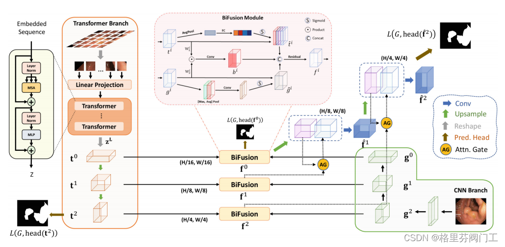 粗读TransFuse: Fusing Transformers and CNNs for Medical Image Segmentation_transfuse参数量-CSDN博客