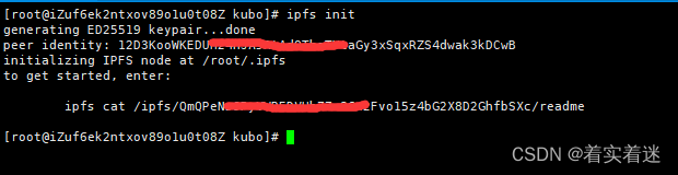 linux 安装ipfs —— IPFS环境配置_jetbra.in checker | ipfs-CSDN博客