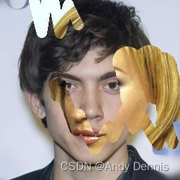 生成随机mask以及根据mask对两幅图片进行合并-CSDN博客