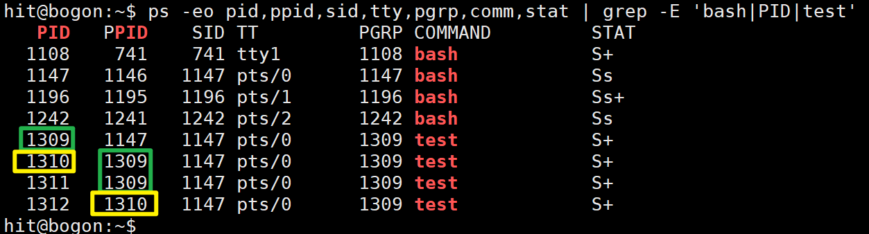 fork() 函数进一步认识_fork()在编程什么意思-CSDN博客