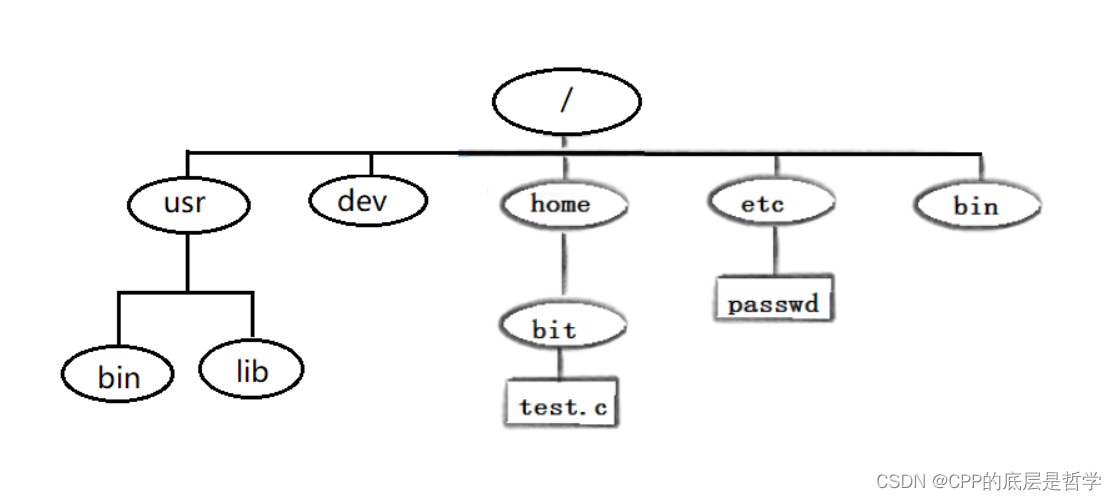 Linux入门-基础指令与相关概念_linux目录树叶子结点一定是文件吗-CSDN博客