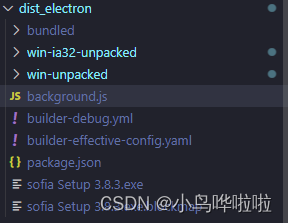 Electron报错：Invalid ‘main‘ field in ‘XXX\dist_electron\package.json‘ of ‘background.js ...