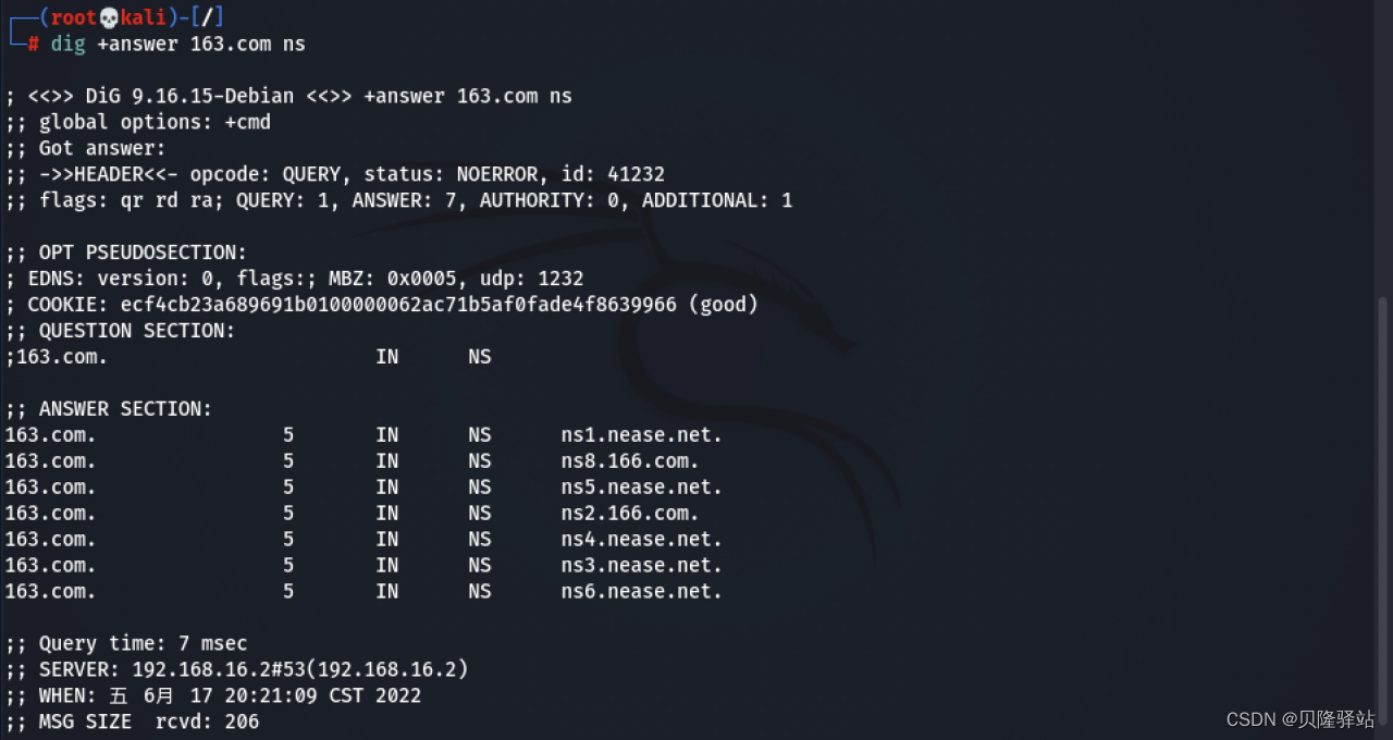 DNS信息搜集方法_通过dig查询bind版本-CSDN博客