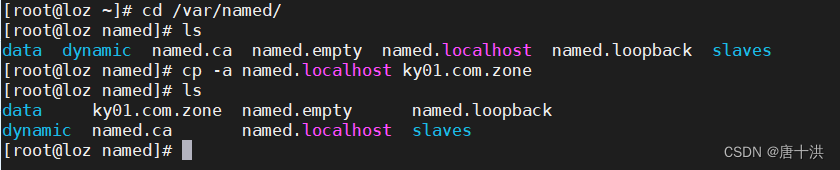 SSH（带实验）+DNS（带实验）_ssh dns-CSDN博客