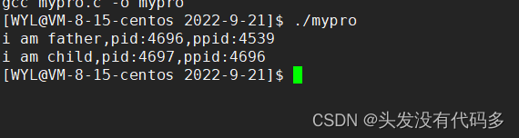 Linux——进程描述进程 Pcbtaskstruct Pcb的一种组织进程 查看进程父进程和子进程pid获取父子关系fork初识获取子进程pid Csdn博客