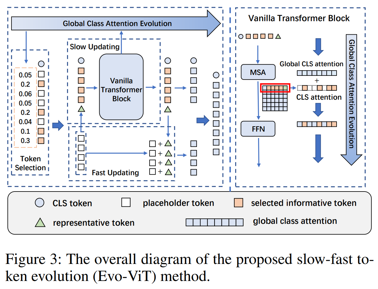 Evo-ViT: Slow-Fast Token Evolution for Dynamic Vision Transformer_token merge-CSDN博客