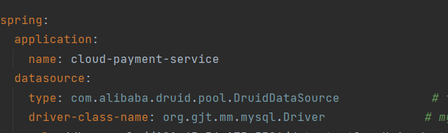 idea启动Application run failed,Failed to load property source from location ‘classpath ...