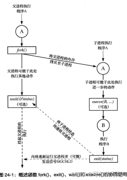 Linux_1 进程线程_thread fork-CSDN博客