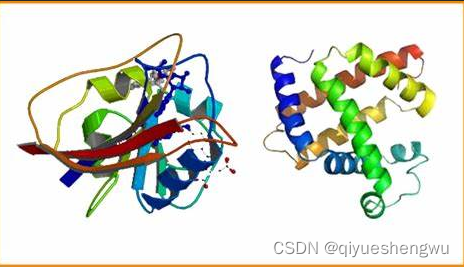 牛血清白蛋白BSA/人血清白蛋白HSA/卵清白蛋白OVA纳米粒偶联CTT2肽（作用机理）_bsa和hsa的结构区别-CSDN博客