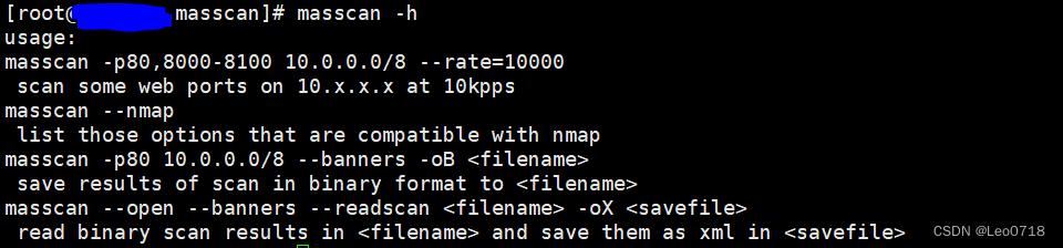 MasScan最快的端口扫描工具_masscan安装-CSDN博客