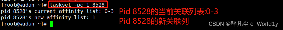 taskset 查询或设置进程绑定CPU（亲和性）_taskset f-CSDN博客