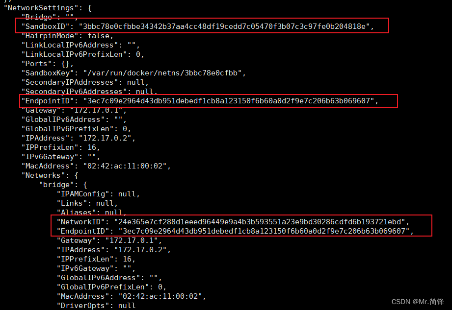 Docker 网络_docker0网卡的作用-CSDN博客