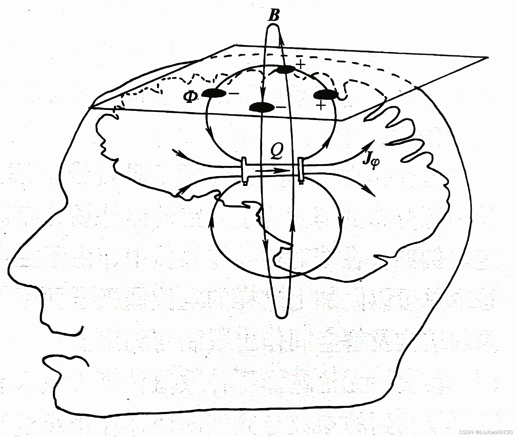 延时相关及其在生物医学中的应用_csdn time-delayed cross-correlation function-CSDN博客