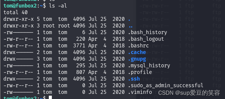 FunBox系列FunBox_2-CSDN博客