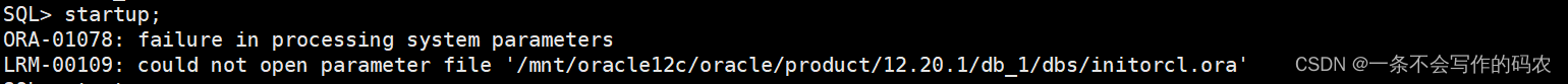 ORA-01261: Parameter db_recovery_file_dest destination string cannot be translated-CSDN博客