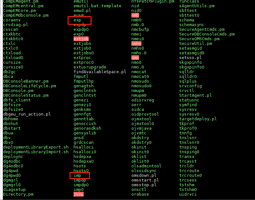 不安装oracle使用exp命令_怎么在没有数据库的linux上执行exp命令-CSDN博客