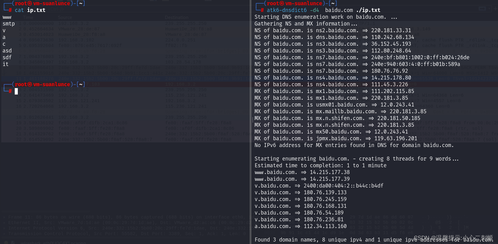 Thc-Ipv6 使用-CSDN博客