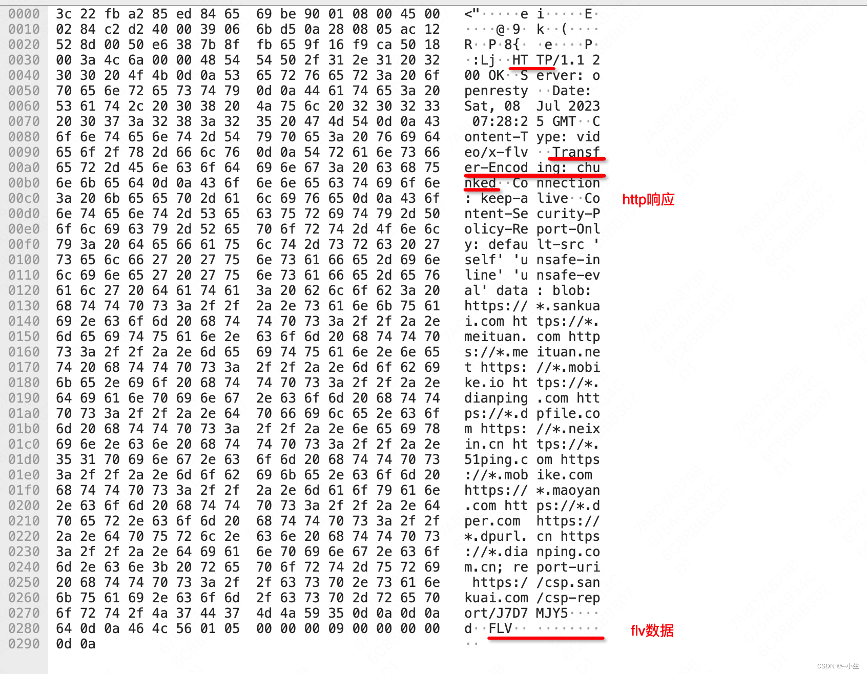 HTTP-FLV协议详解_flv文件变成hrrp流-CSDN博客