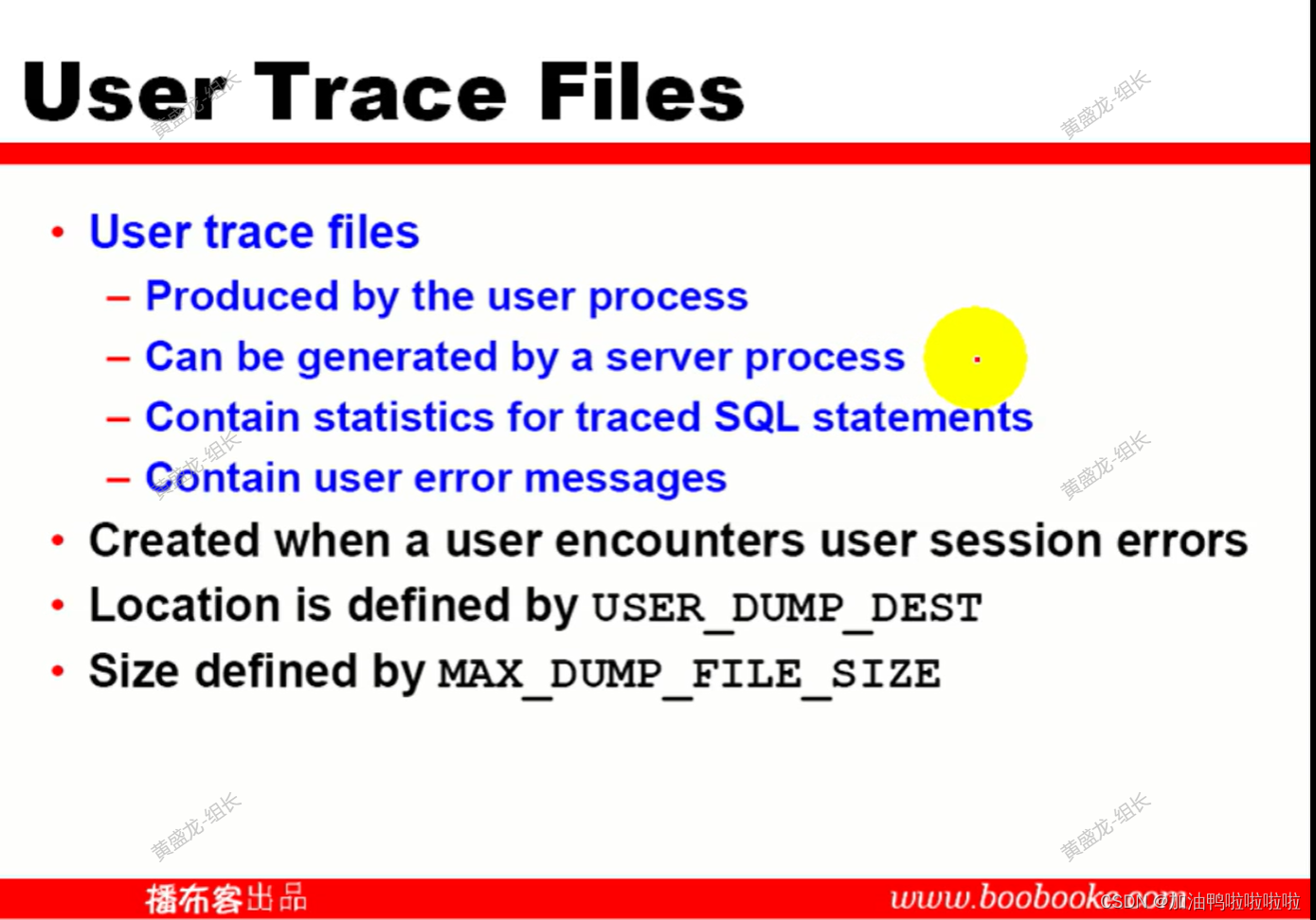 oracle小布老师笔记_oracle文件格式-CSDN博客