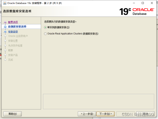 Oracle数据库安装及配置（Oracle19c）-CSDN博客