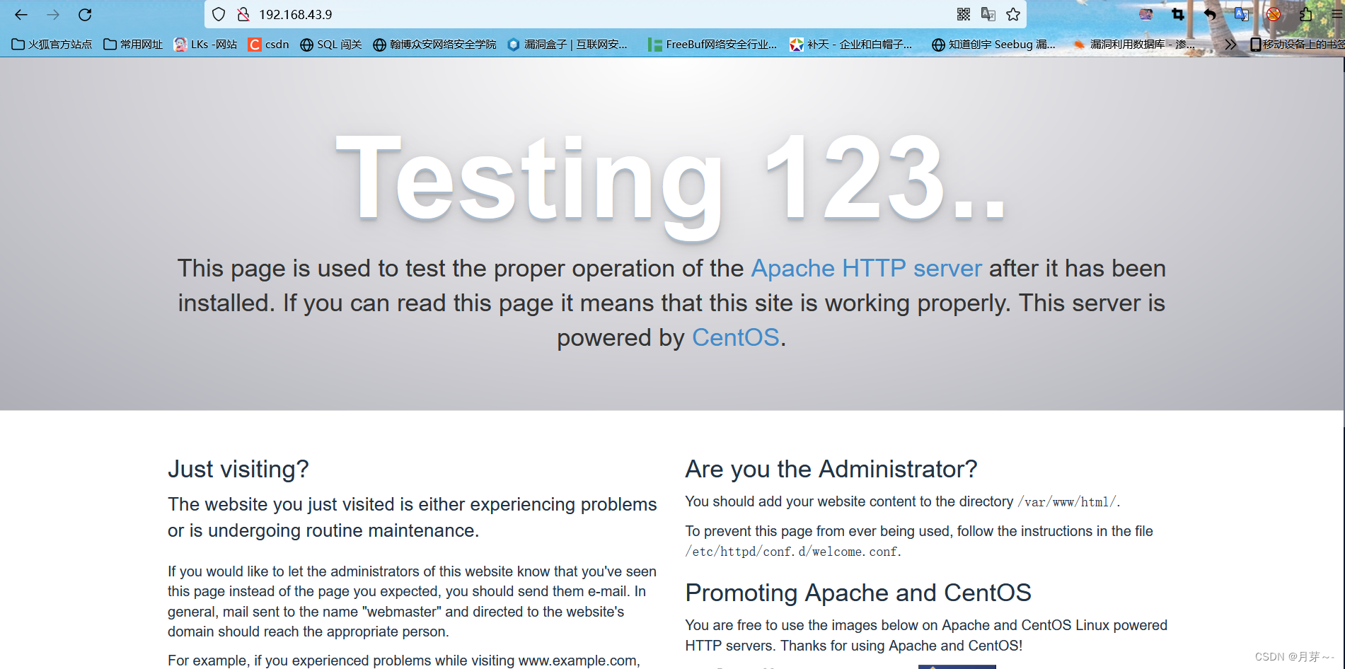centos7部署lamp（linux，Apache，mysql，PHP）_centos lamp部署 maria-CSDN博客
