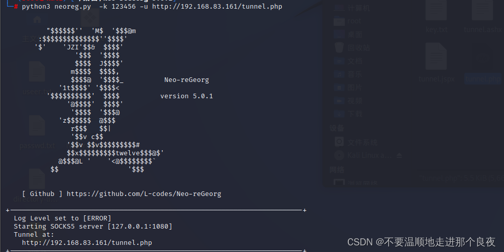 代理转发与隧道应用_netsh interface portproxy add v4tov4-CSDN博客