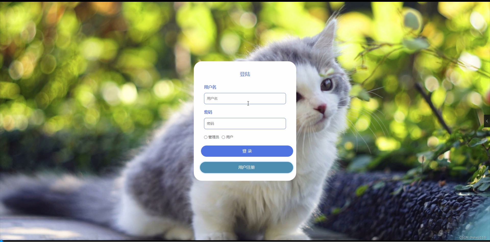 Java毕设项目宠物领养管理系统计算机(附源码系统数据库lw) Csdn博客