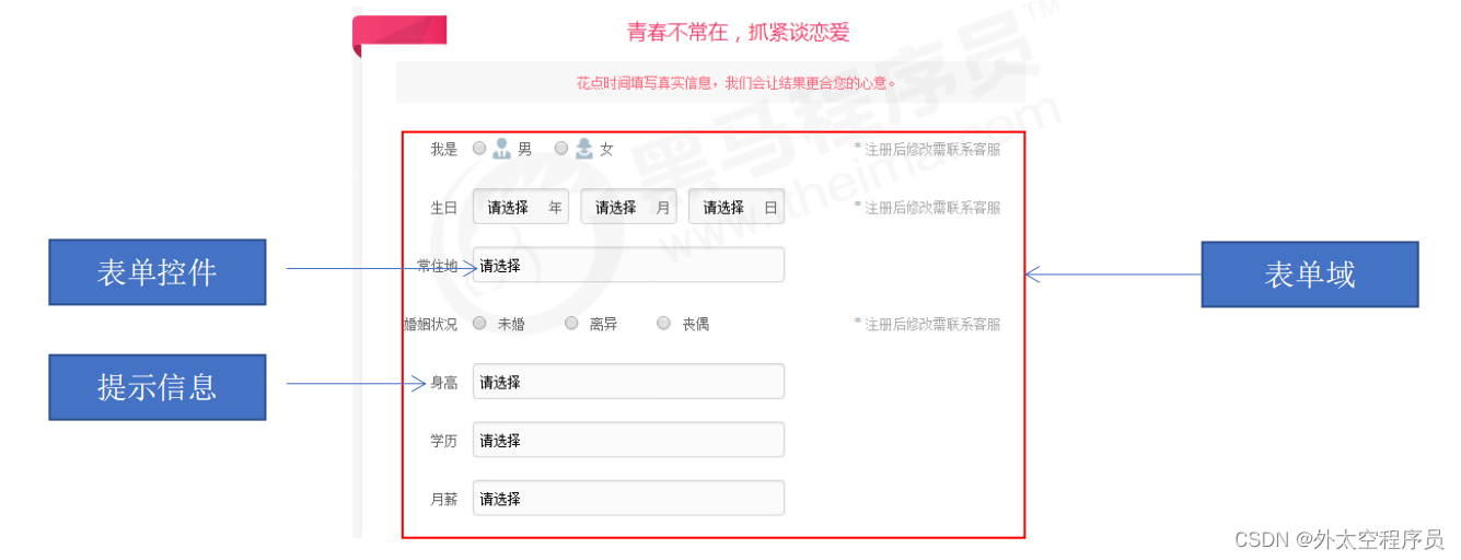 Html表单标签 Csdn博客 